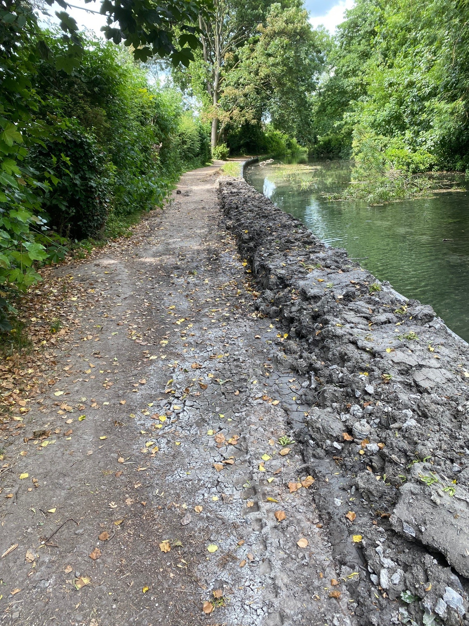 Wendover Canal Trust - Wendover Canal Towpath Update