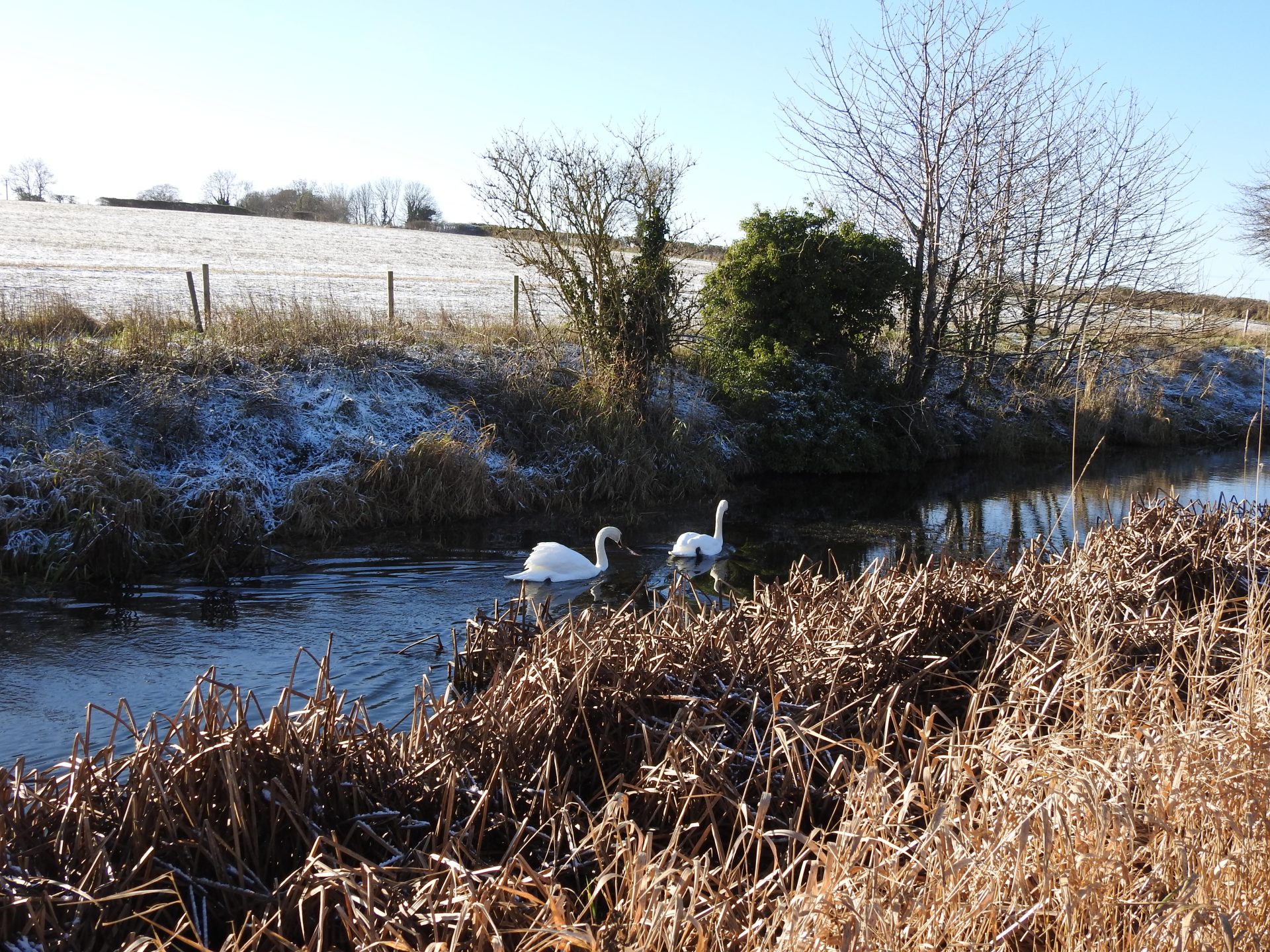 Wendover Canal Trust - Winter Walk Wendover Canal